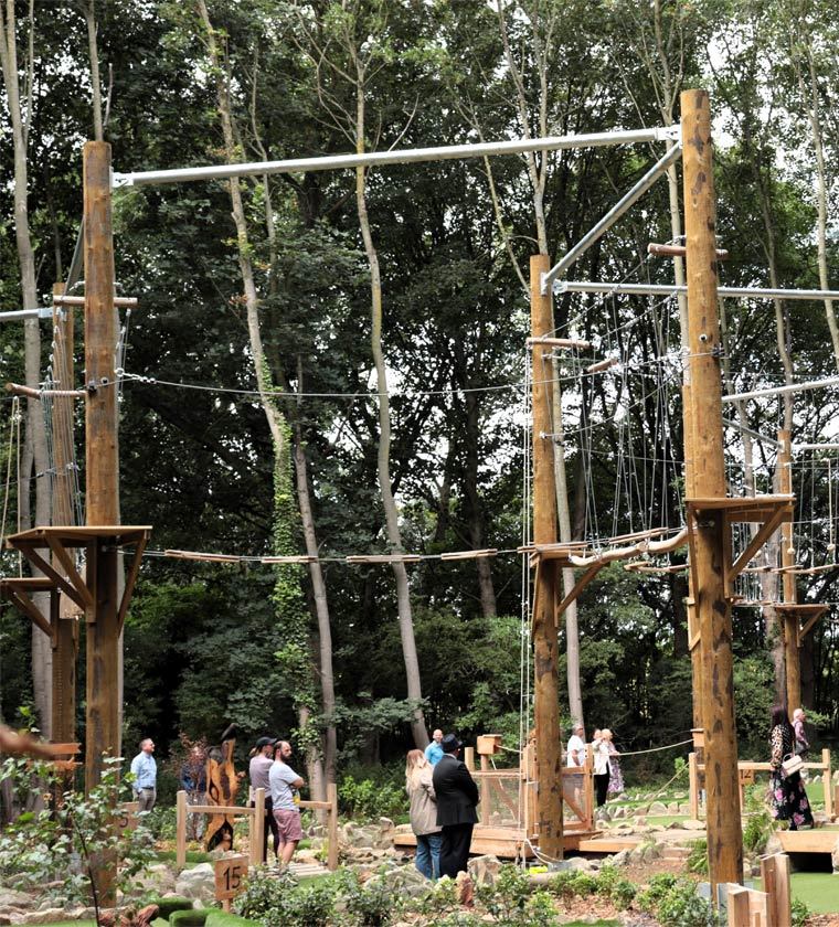 Aerial Assault Course | Iron Pit Woods Adventure